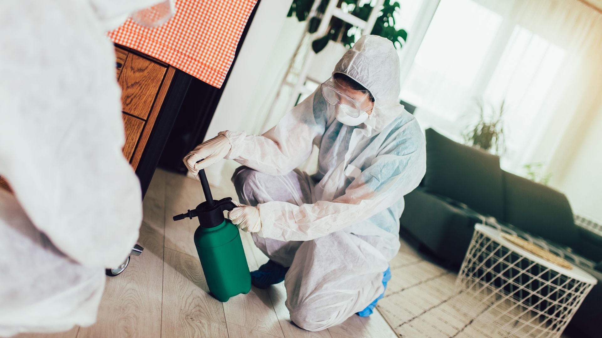 Pest Control Services in Cookeville and Crossville | Midstate Termite ...