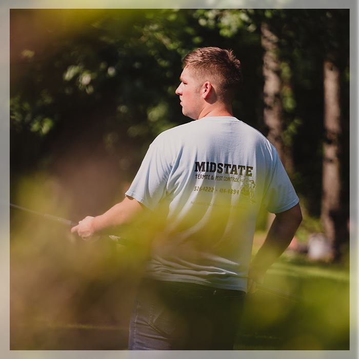 Home Pest Control | Midstate Termite & Pest Control