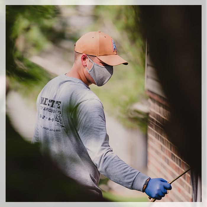 Home Pest Control | Midstate Termite & Pest Control