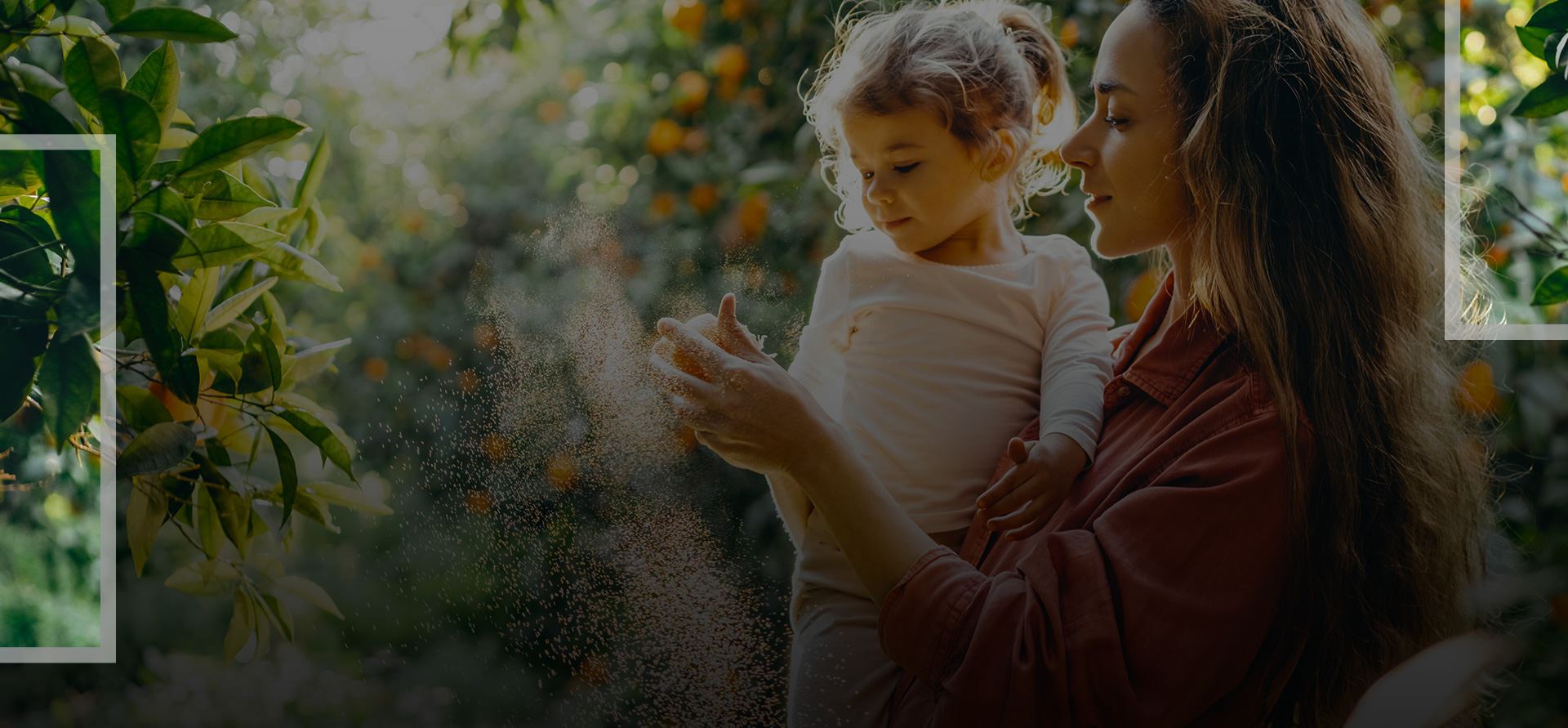 Where We Service | Midstate Termite & Pest Control