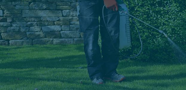 Pest Control Services in Cookeville and Crossville | Midstate Termite ...