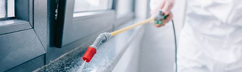 Home Pest Control | Midstate Termite & Pest Control